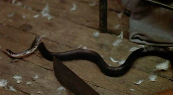 Snake (Friday the 13th) | The Dead Meat Wiki | Fandom