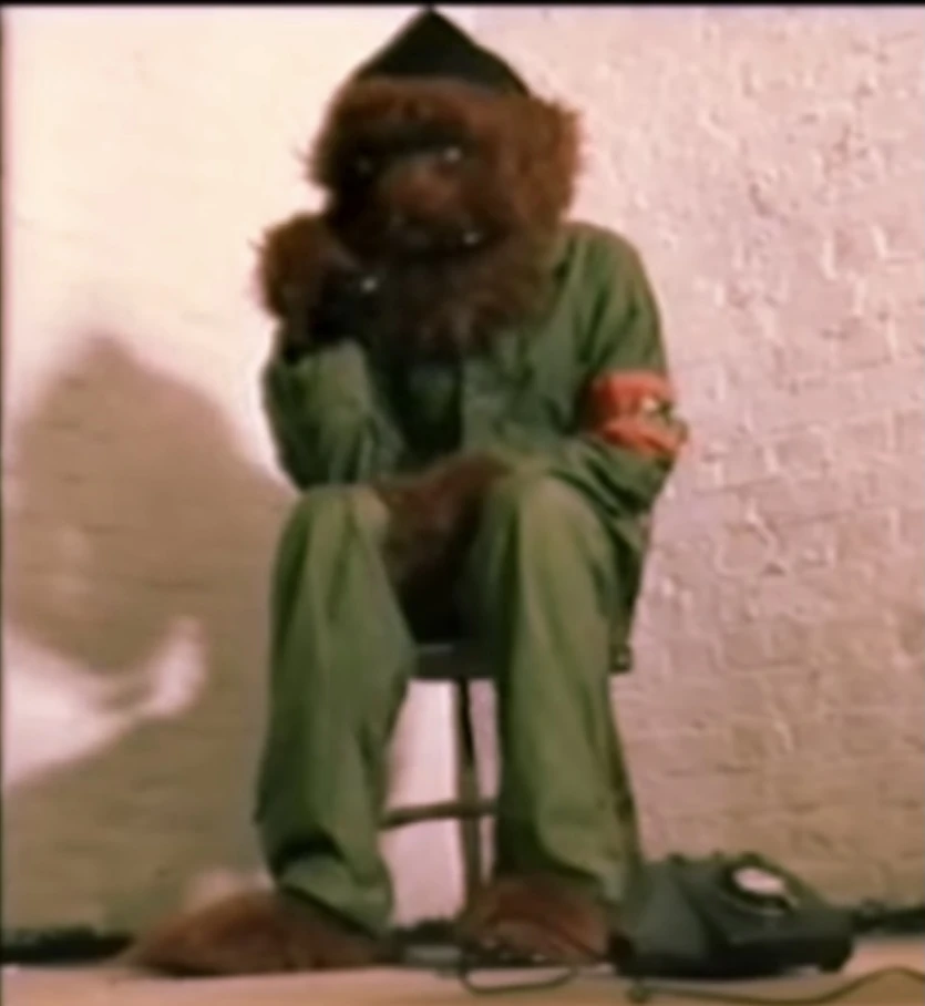 Money Man Dhmis The Dead Meat Wiki Fandom