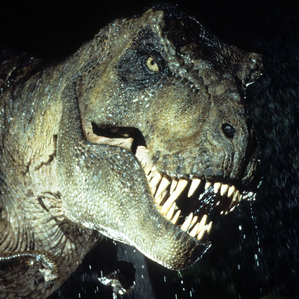Tyrannosaurus Rex | The Dead Meat Wiki | Fandom