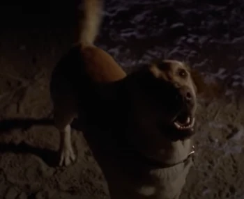 Binky the Dog | The Dead Meat Wiki | Fandom