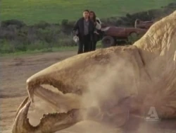 El Blanco the Graboid | The Dead Meat Wiki | Fandom