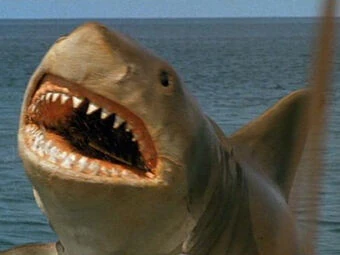 Vengeance the Shark | The Dead Meat Wiki | Fandom