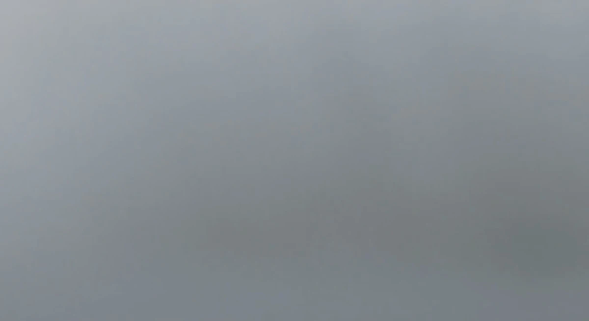 The Mist | The Dead Meat Wiki | Fandom
