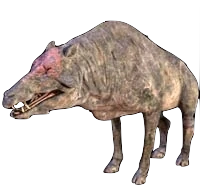 Entelodon | The Delta Verse Wiki | Fandom