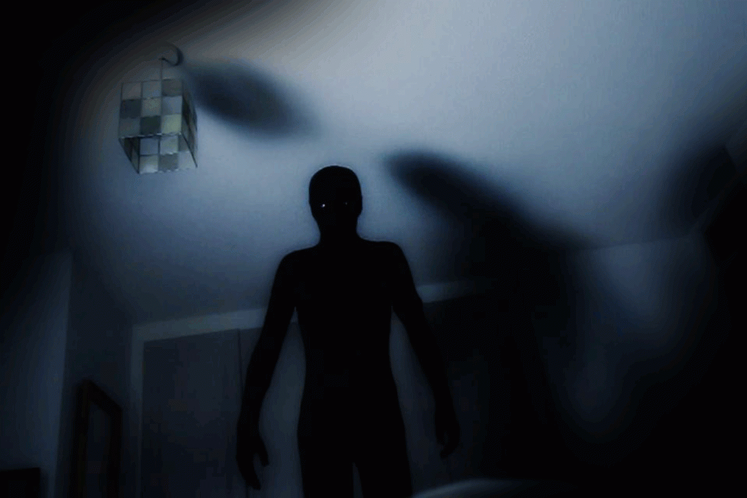 Shadow People The Demonic Paradise Wiki Fandom shadow-people-the-demonic-paradise-wiki-fandom