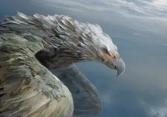 Seker | The Demonic Paradise Wiki | Fandom