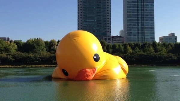 Giant Rubber Ducky | The Derpy Dimension Wiki | Fandom