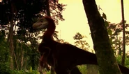 Pyroraptor | Dinosaur Planet Wiki | Fandom