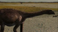 Saltasaurus | Dinosaur Planet Wiki | Fandom