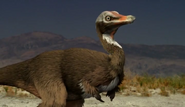 Alvarezsaurus | Dinosaur Planet Wiki | Fandom
