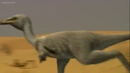 Shuvuuia | Dinosaur Planet Wiki | Fandom