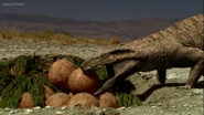 Notosuchus | Dinosaur Planet Wiki | Fandom