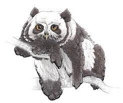 Panda owlbear | The Dire Lands Wiki | Fandom