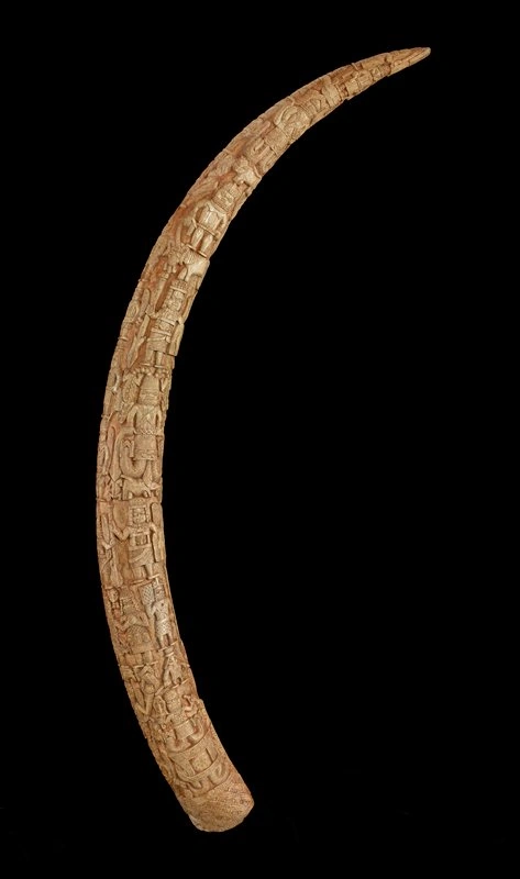 Elephant tusk | The Dire Lands Wiki | Fandom