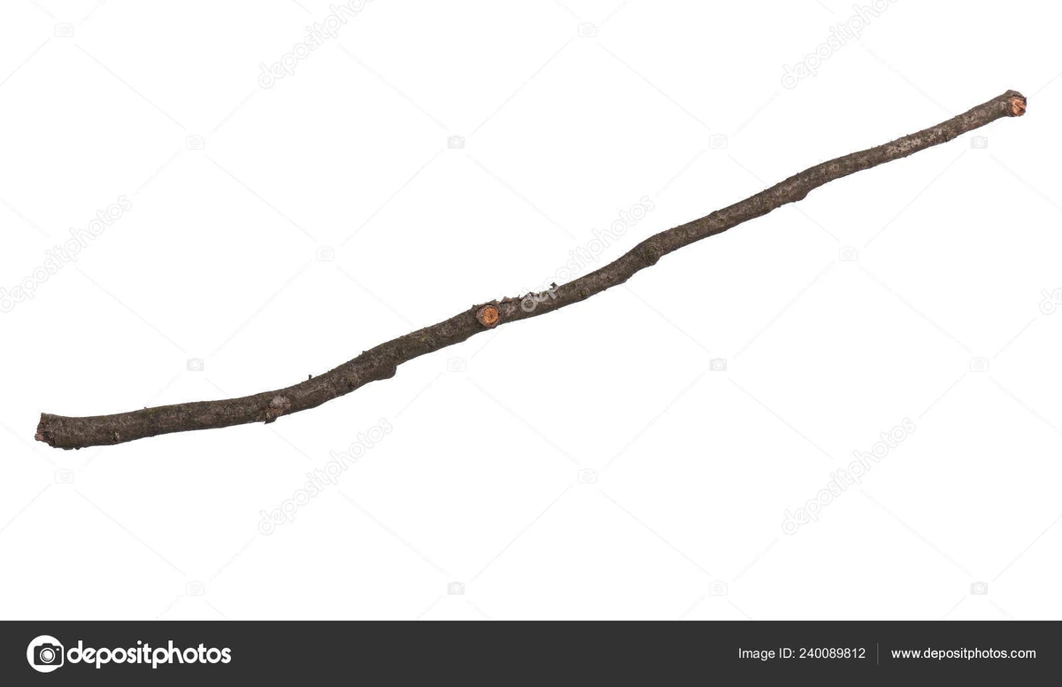 Long stick | The Dire Lands Wiki | Fandom