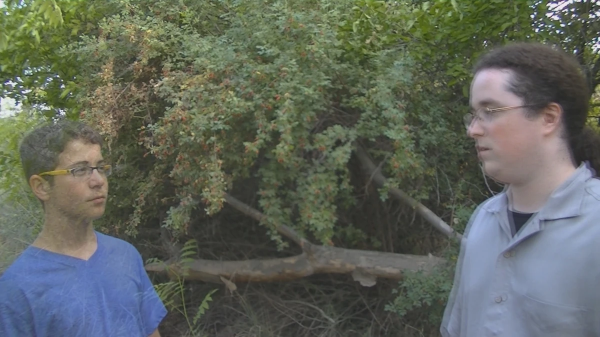 2013 | The Displaced Wiki | Fandom