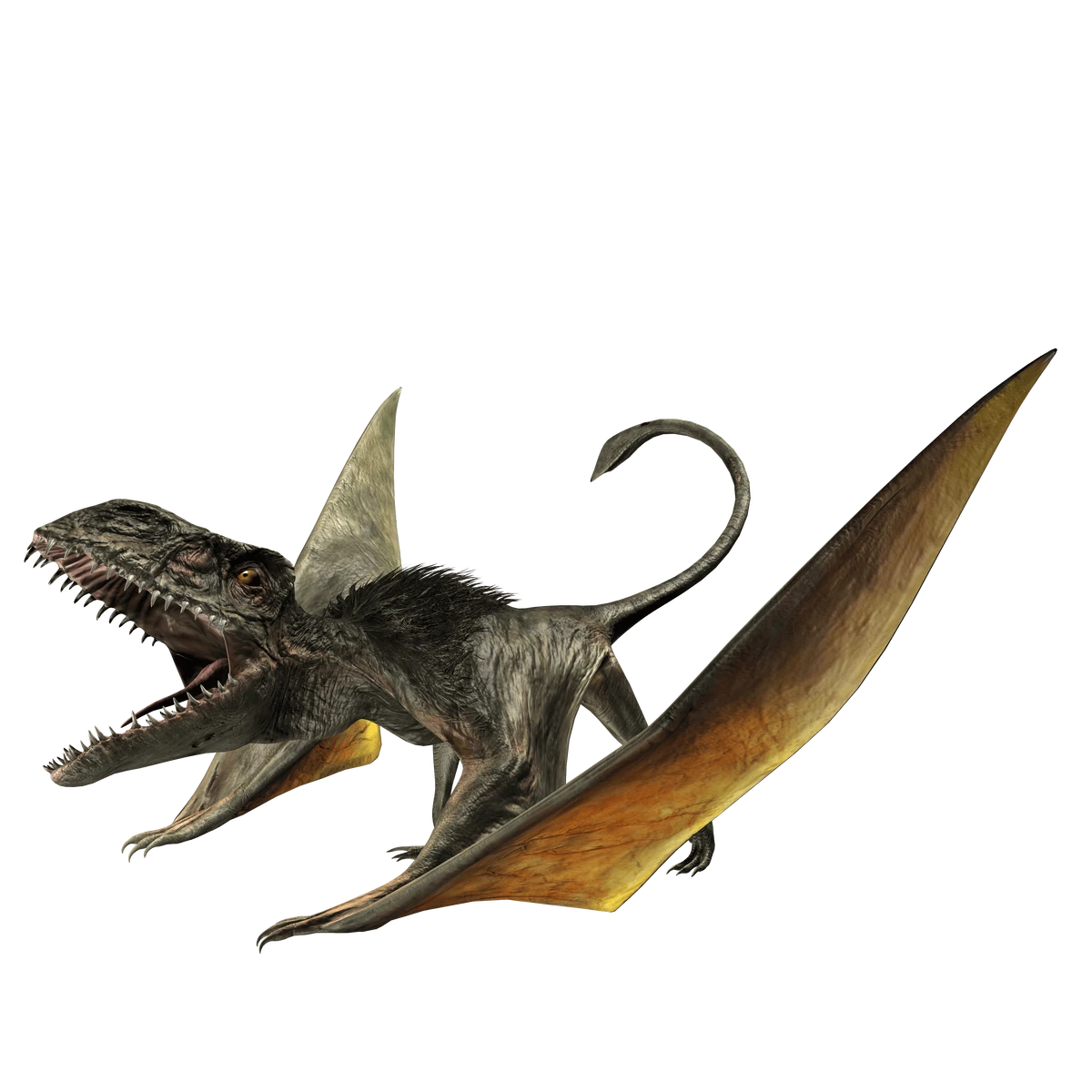 Dime The Dimorphodon | The Divine Moth Chronicles Wiki | Fandom