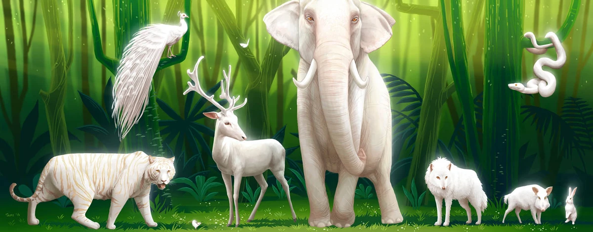 Animal Spirits | The Divine Paradise Wiki | Fandom