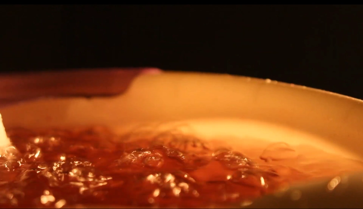 Nestene Consciousness | The Doctorwhoguy Wiki | Fandom