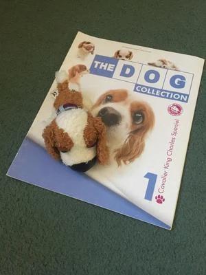 THE DOG 1 MAGAZINE CAVALIER KING | THE DOG COLLECTION ARTLIST Wiki | Fandom