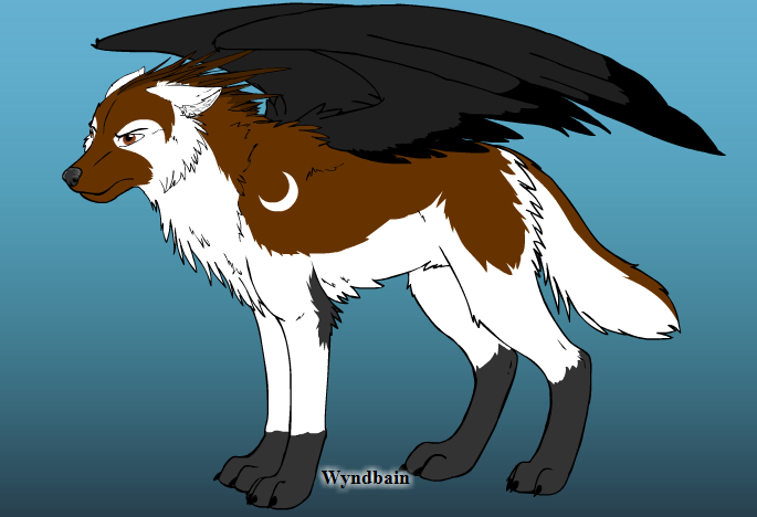 Choru | The Dragon Academy Wiki | Fandom