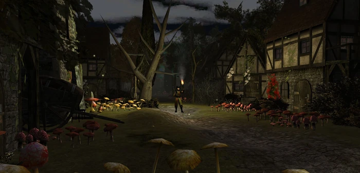 Brost - The Mushroom Village | The Dragon's Neck Wiki | Fandom