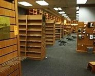 Creature 24 - "Glowing Rats" | The Dreamcore Database Wiki | Fandom