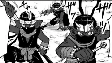 Ninja | The Death Mage Wiki | Fandom
