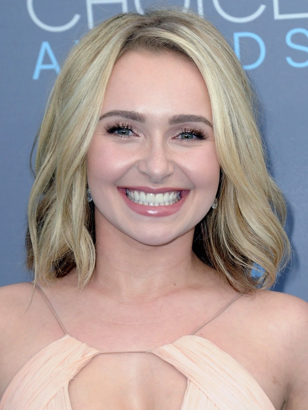 Hayden Panettiere | The Dust Factory Wiki | Fandom