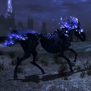 Cavalo (Skyrim) | Wiki The Elder Scrolls Arquivos Imperiais | Fandom