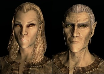 Altmer | Wiki The Elder Scrolls Arquivos Imperiais | Fandom