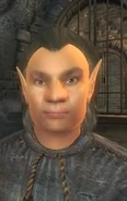 Bosmer | Wiki The Elder Scrolls Arquivos Imperiais | Fandom