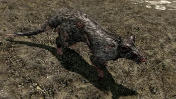 Skeever (Skyrim) | Wiki The Elder Scrolls Arquivos Imperiais | Fandom