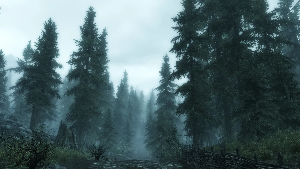 Falkreath Hold | The Elder Scrolls Wikia | Fandom