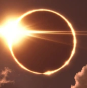 The Elementals Saga Wiki | Fandom