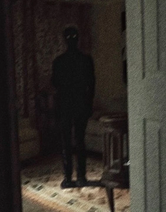 Entity 4 - "Puddlers" | The Emptyrooms Wiki | Fandom