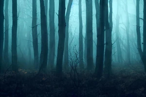 Level 0: “The Start” | The End Rooms Wiki | Fandom