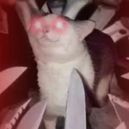 Cat | The entire jjt chart Wiki | Fandom