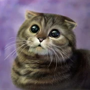 Cute Kitty on Lavender BG | The entire jjt chart Wiki | Fandom