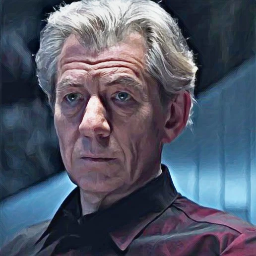 Erik Lehnsherr (Purge World) | The Era Beyond Wiki | Fandom