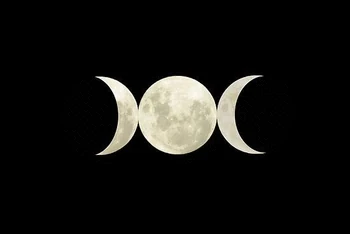 Moonlight Coven | The Escape Series Wiki | Fandom