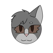 Shadowclan | The Eternal Apprentice Wiki | Fandom
