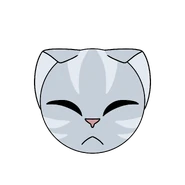 Shadowclan | The Eternal Apprentice Wiki | Fandom