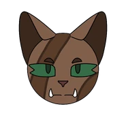 Shadowclan | The Eternal Apprentice Wiki | Fandom
