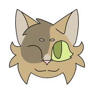 Shadowclan | The Eternal Apprentice Wiki | Fandom