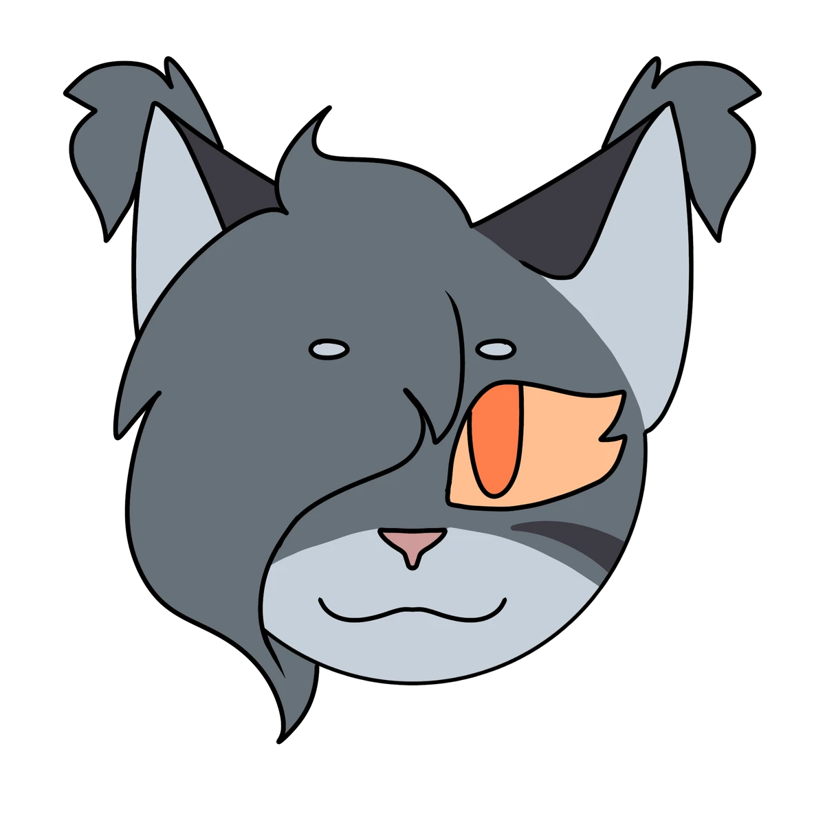 Shadowclan | The Eternal Apprentice Wiki | Fandom