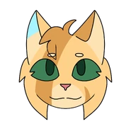 Shadowclan | The Eternal Apprentice Wiki | Fandom