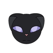 Shadowclan | The Eternal Apprentice Wiki | Fandom