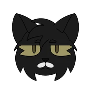 Shadowclan | The Eternal Apprentice Wiki | Fandom