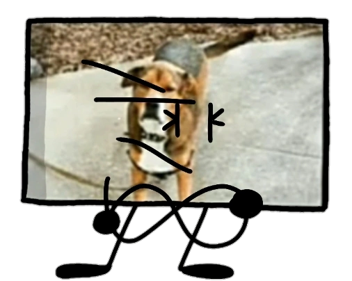 Picture Of A Dog | The Every Other Monday Object Show Wiki | Fandom